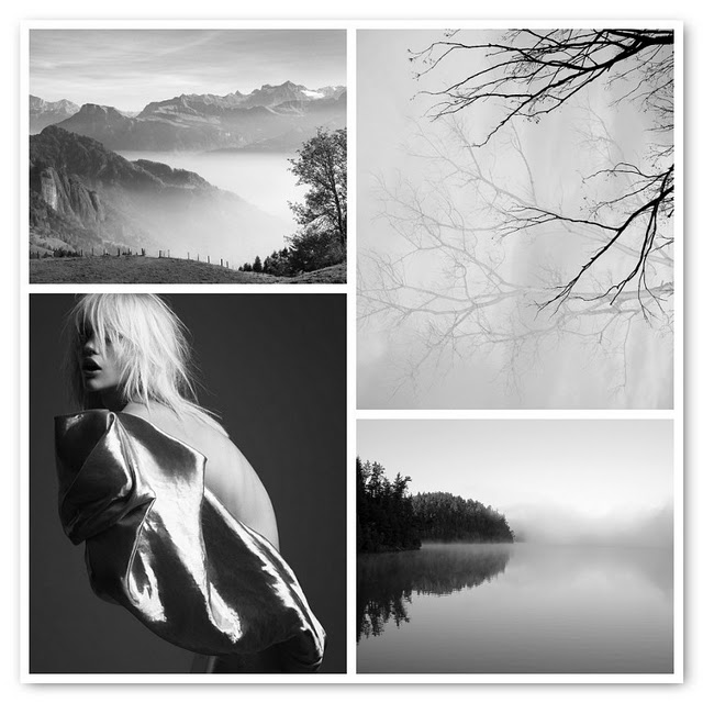 Design Shimmer: Inspiration