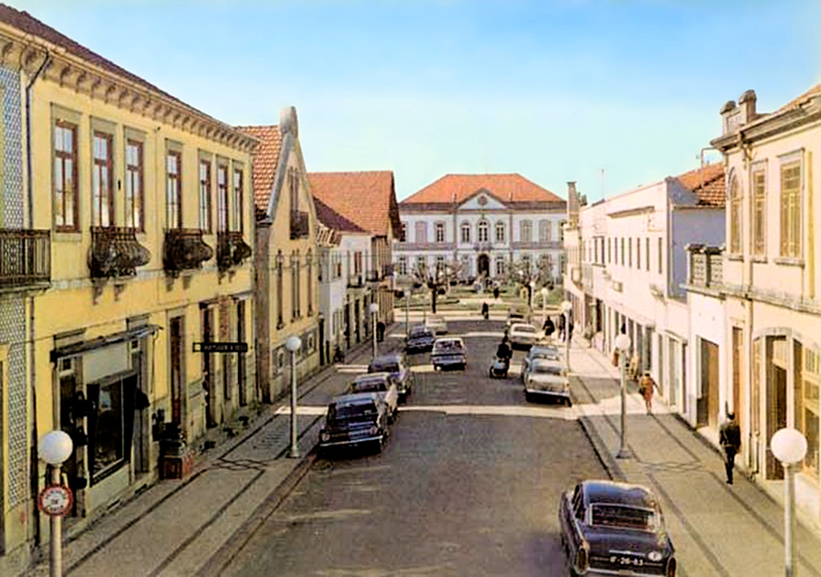 Retratos de Portugal: Albergaria-a-Velha - Avª. Napoleão Luis Ferreira Leão