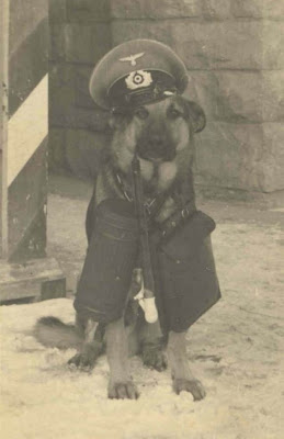 NAZI JERMAN: Foto Binatang Lucu Third Reich