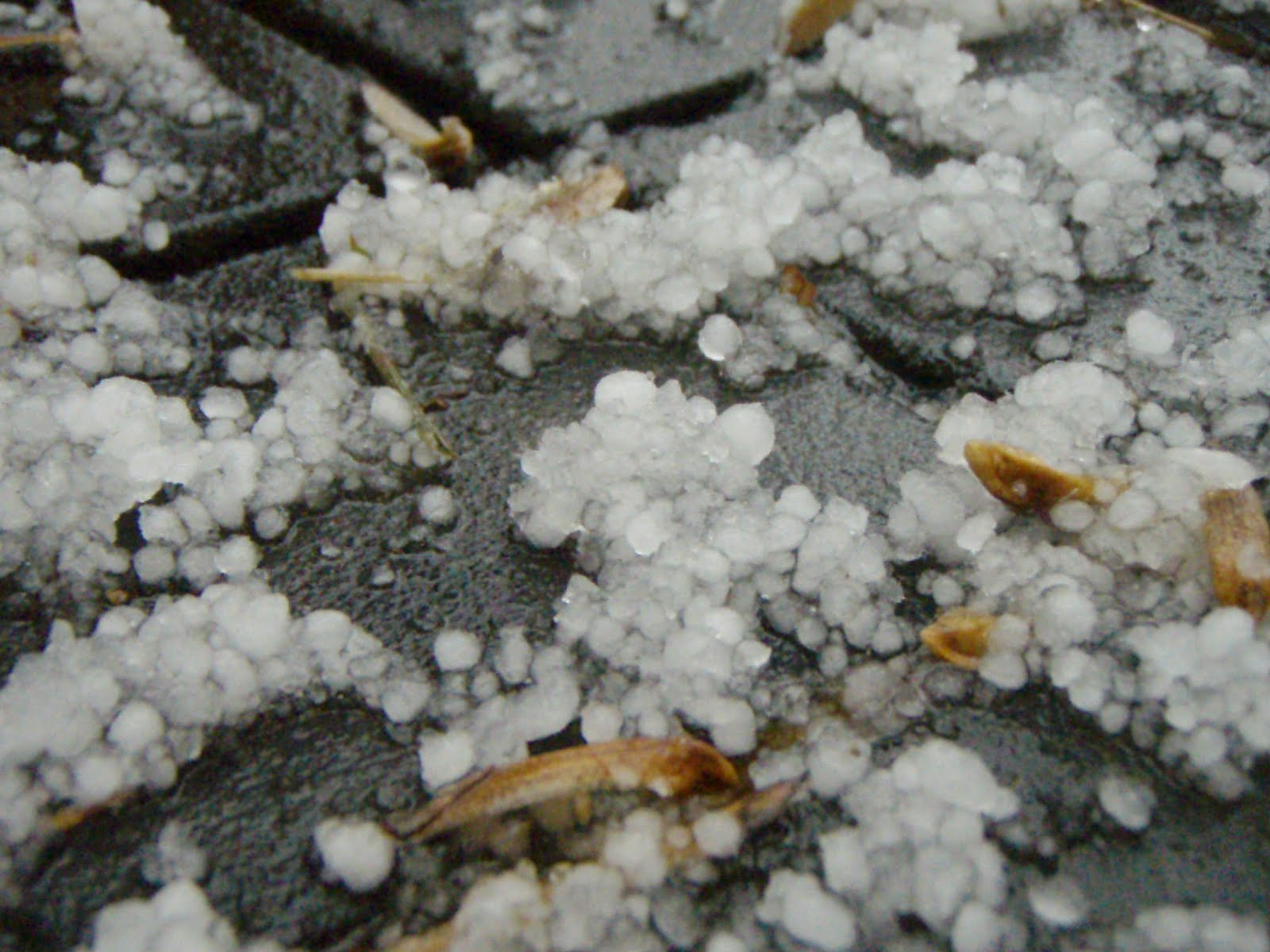 Too Blog-Challenged: January 26: Sleet storm
