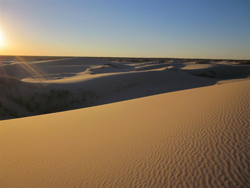 Here and There//Texas/New Mexico: Monahans Sand Dunes