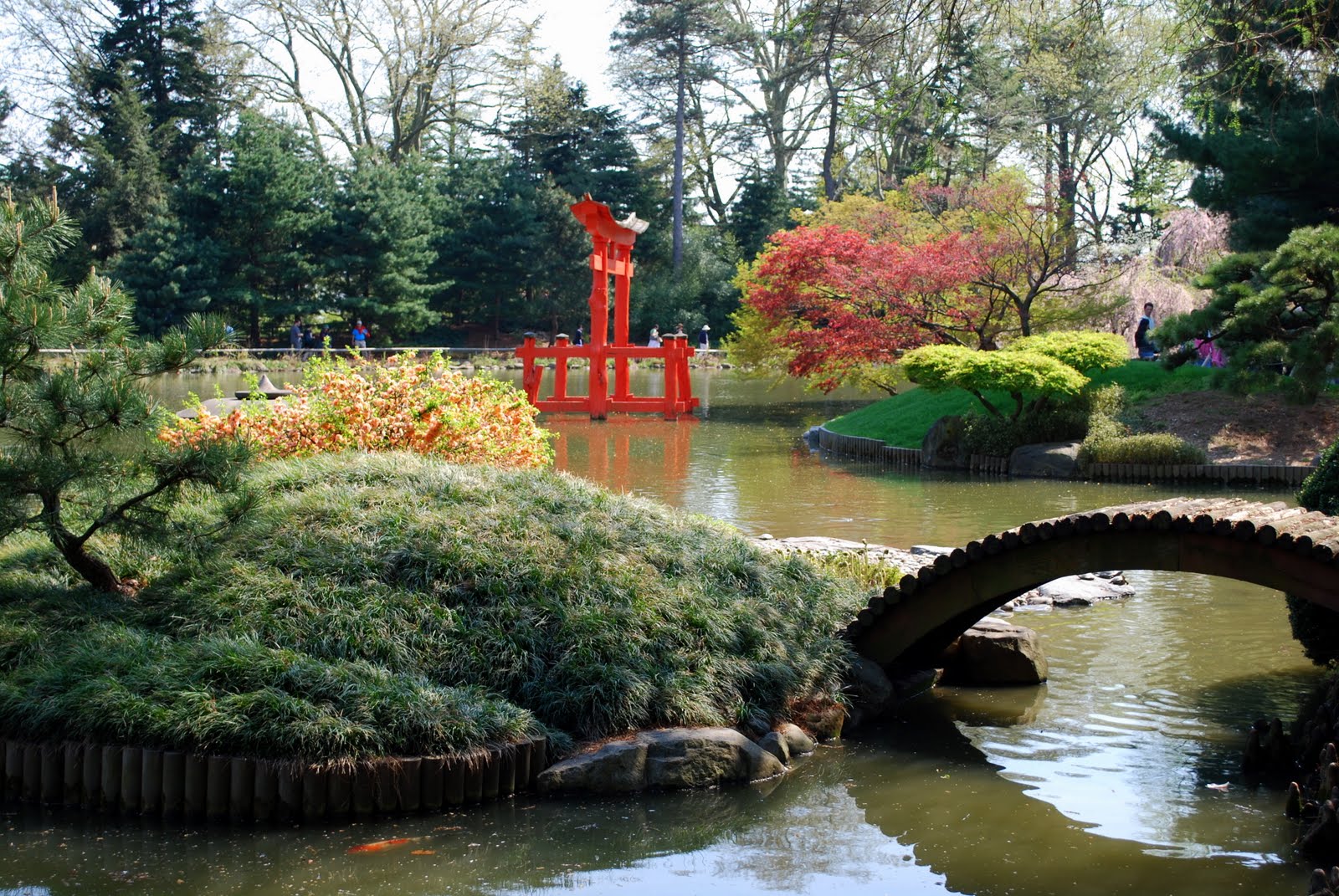 Mille Fiori Favoriti: The Brooklyn Botanic Japanese Hill and Pond Garden