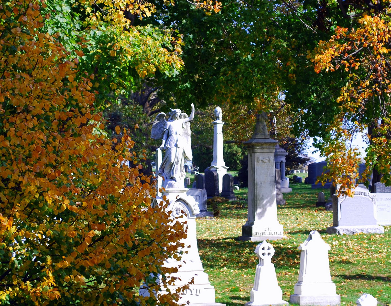 Mille Fiori Favoriti: Autumn Trees in Green-Wood Cemetery