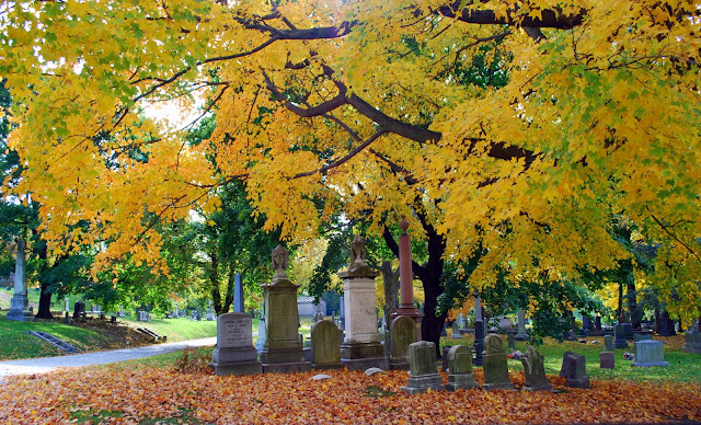 Mille Fiori Favoriti: Autumn Trees in Green-Wood Cemetery