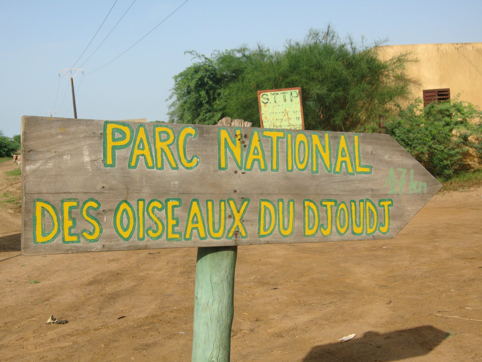 Maryem's Environmental blog: Parc National des Oiseaux de Djoudj (PNOD)