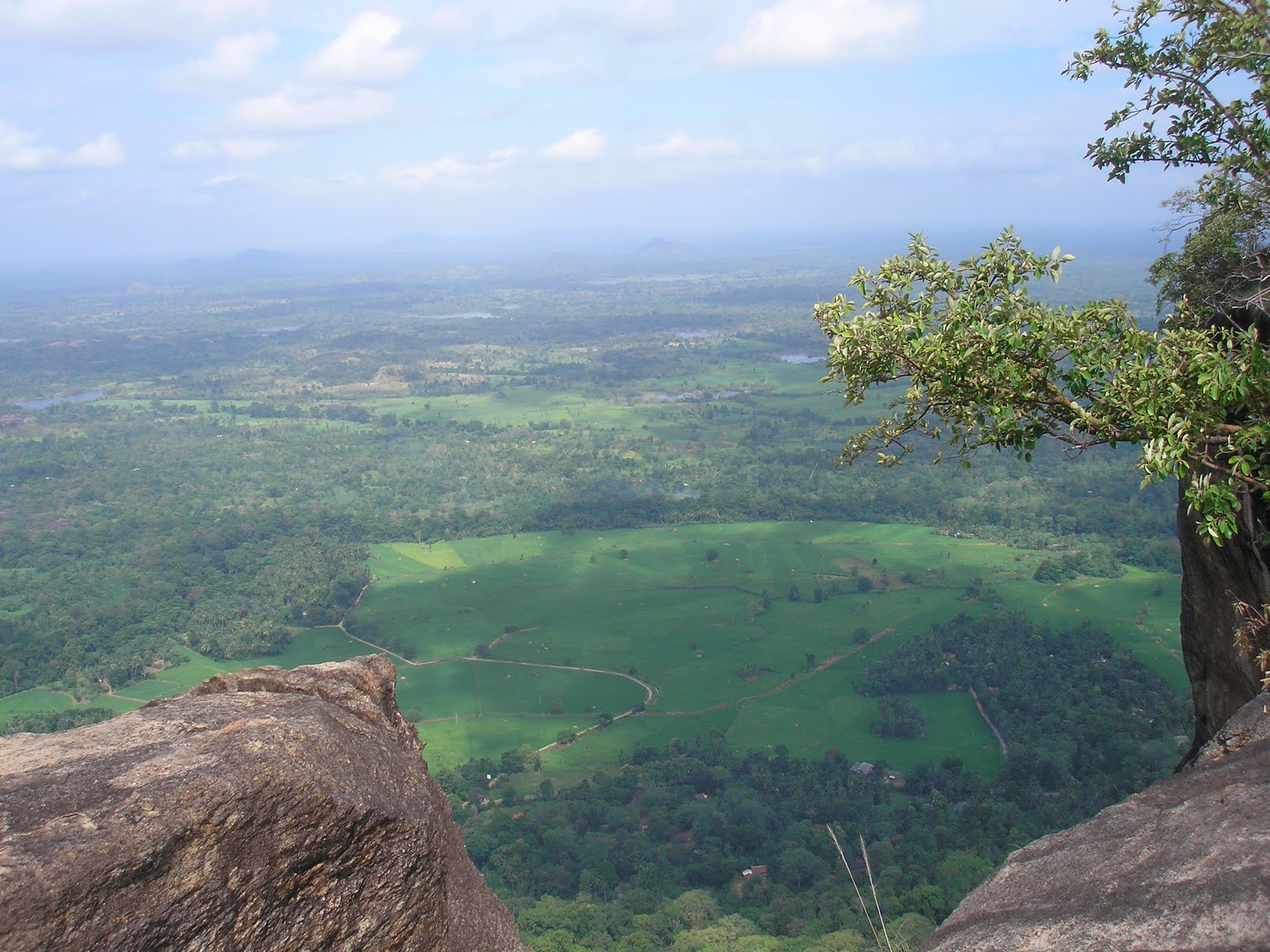 harithacharika - Travelling Nature in Sri Lanka: Thanjanathenna ...