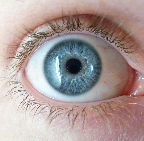 as we were saying: Blue eyes recent genetic mutation