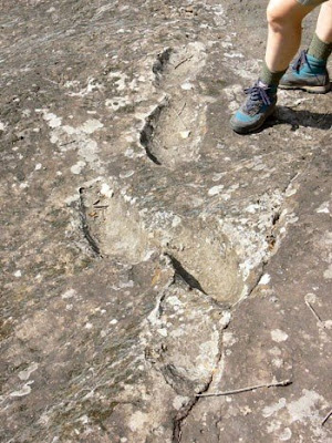 Il y a 345 000 ans, Des traces de pas | Le Big Blog