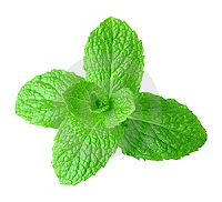 Botiquín natural: Menta / Menta negra