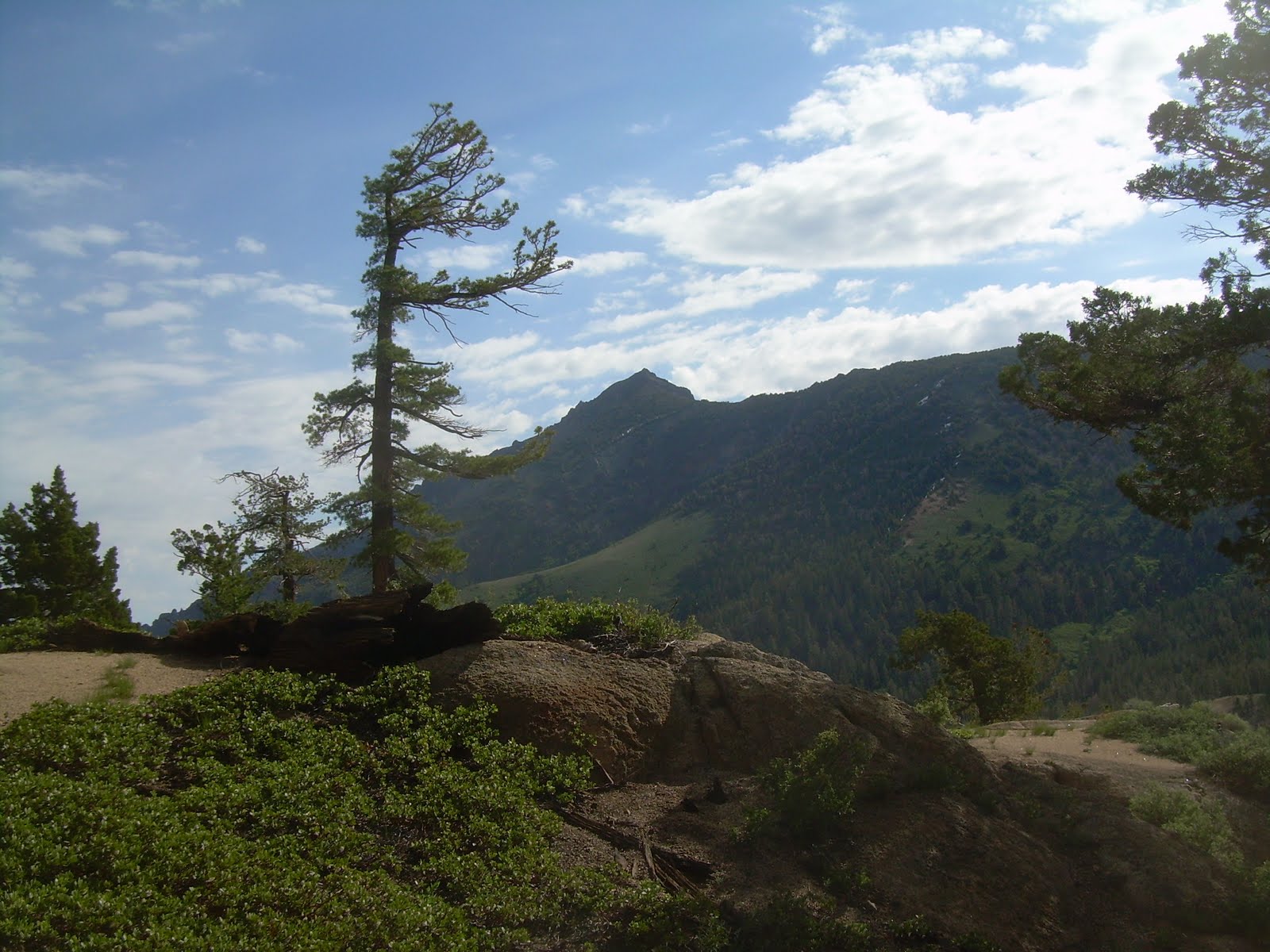 Another Long Walk: Another Boring Day of Hiking