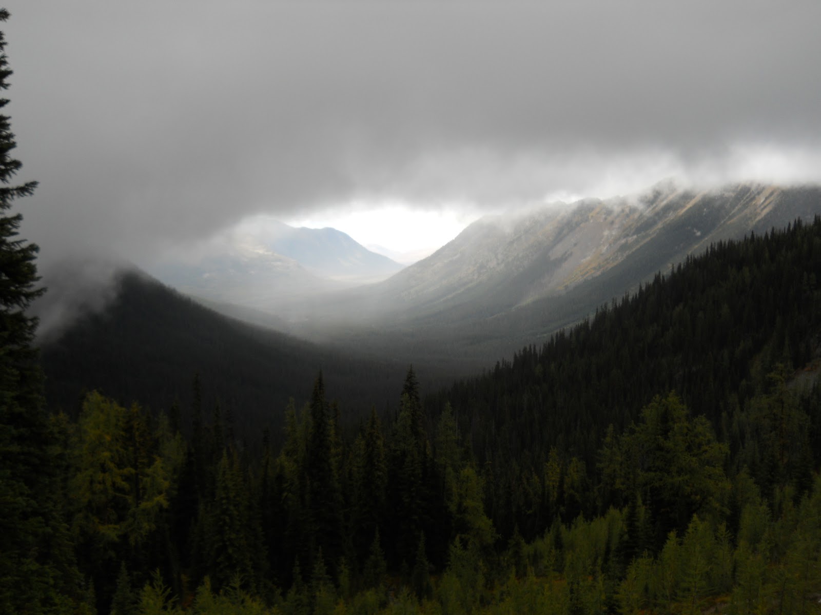 Another Long Walk: The Dreary Weather Continues....