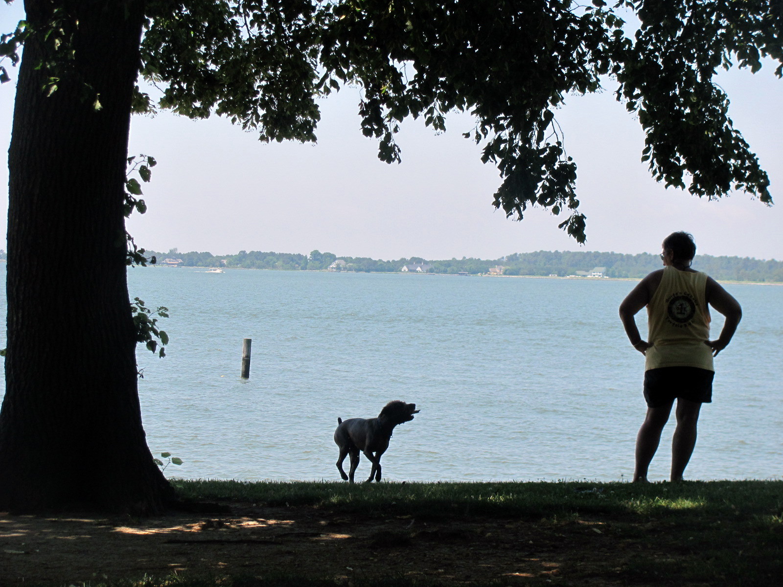 Kartik's Travel Blog: Washington DC - Maryland Countryside