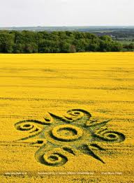 MAESTRO CARLOS GOMES: AGROGLIFOS - A ARTE NO CHÃO