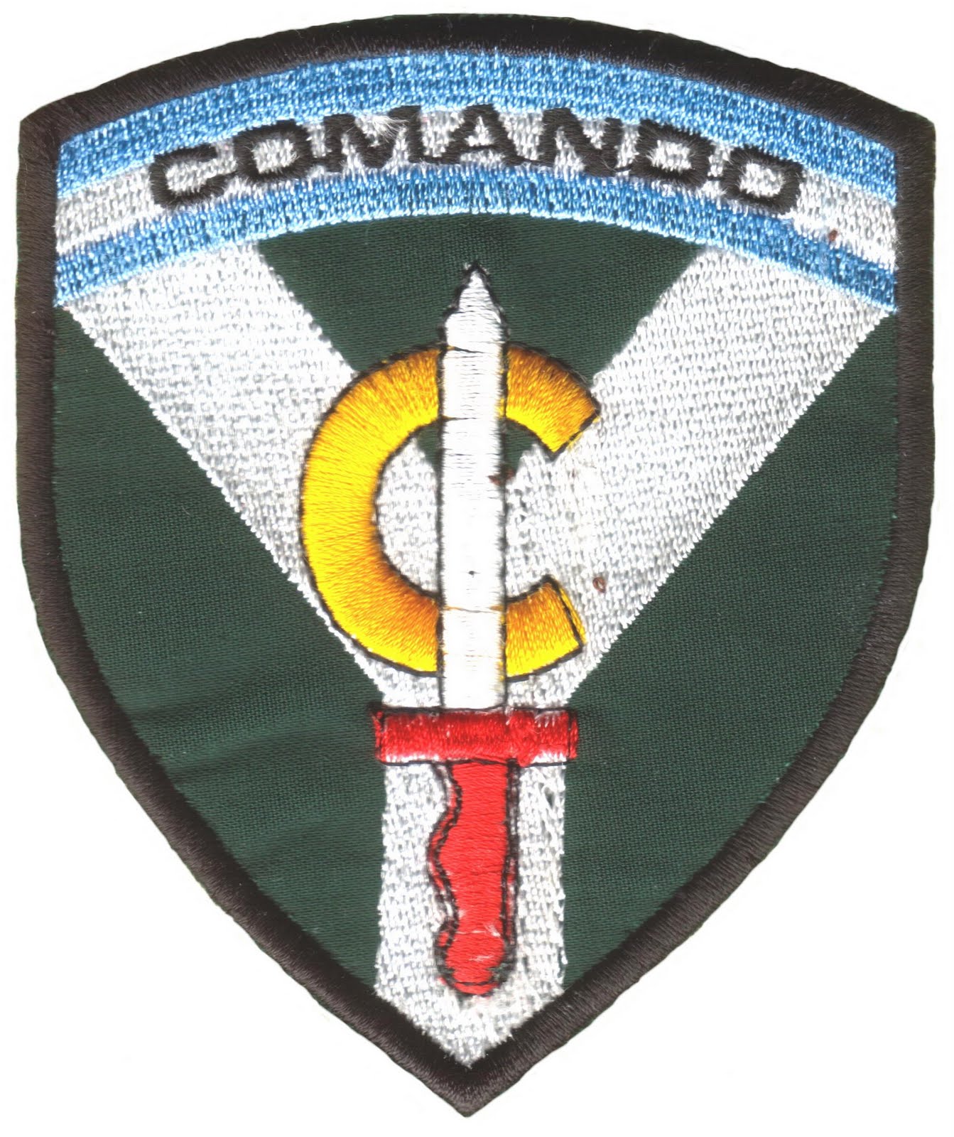 Parches de las Fuerzas Armadas Argentinas: diciembre 2009