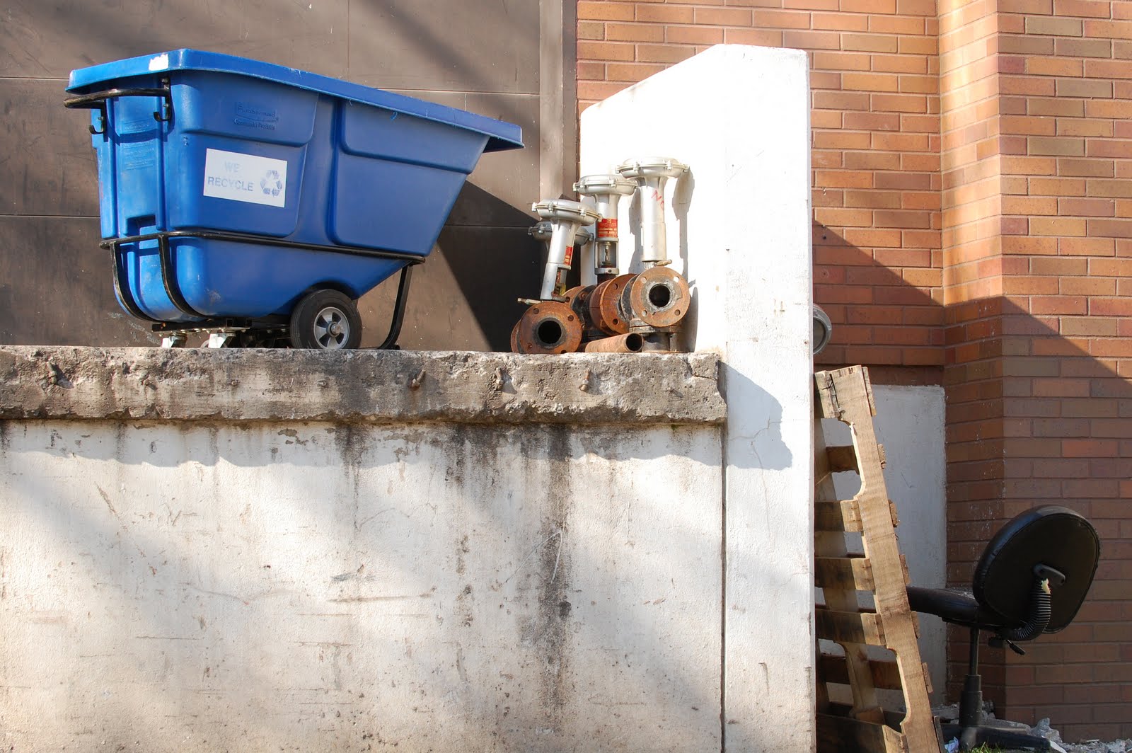 Anthony Amodeo Photography