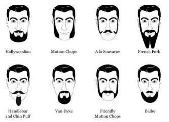 ÖZGÜR MEDYA: 33 sakal şekli