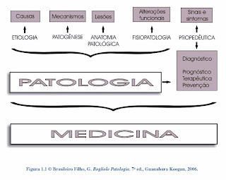 Decifrando a Patologia: A patologia e suas divisões..