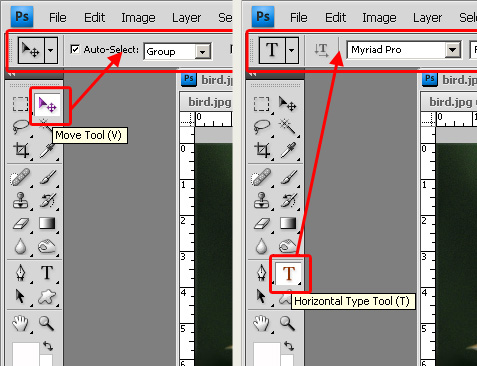 Free PhotoshopTutorials: The Adobe Photoshop CS4 Toolbox