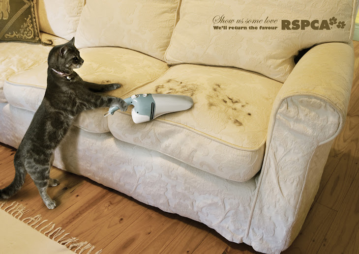 RSPCA | All Social Ads | The Nation's Health