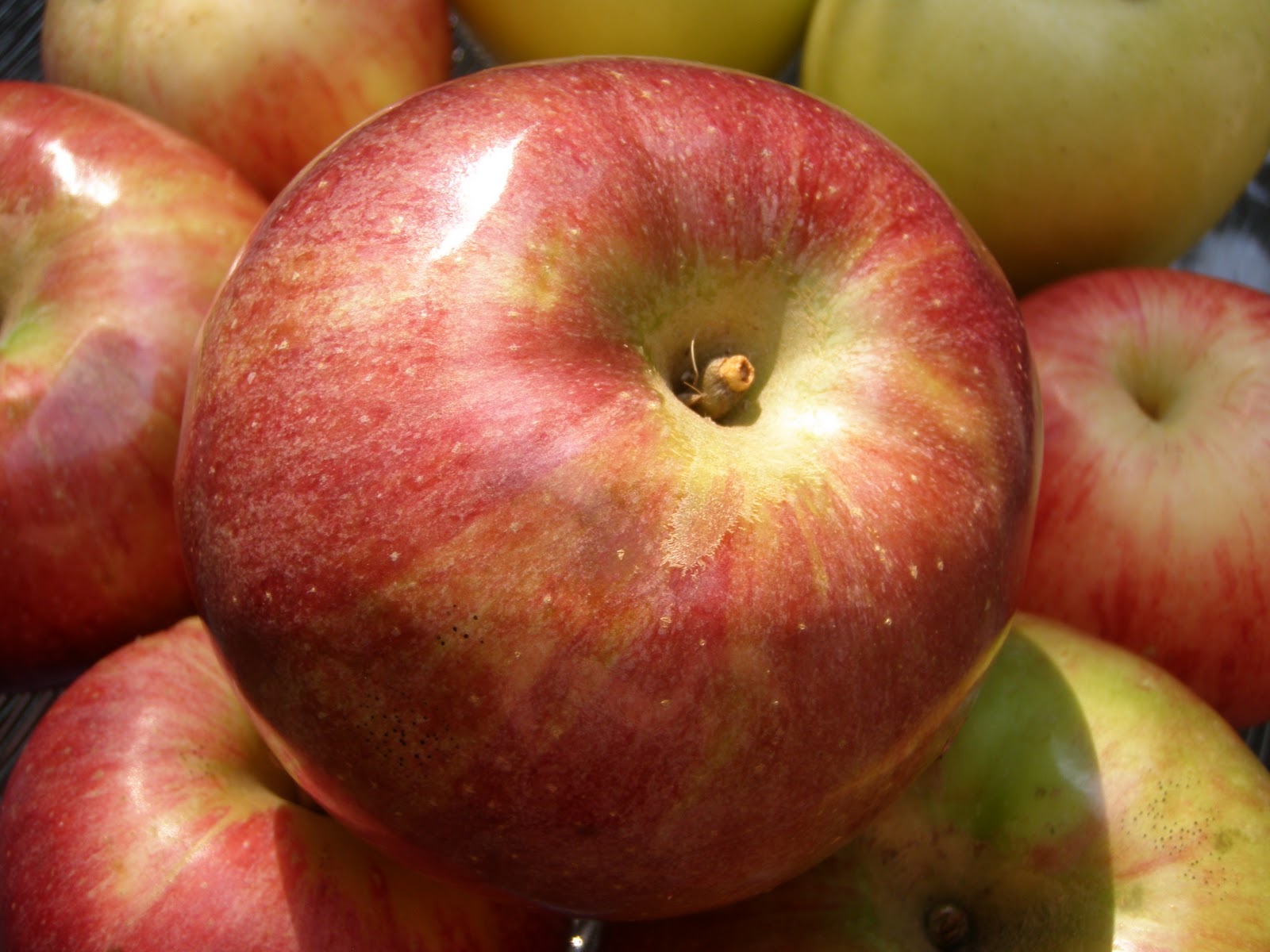 Meals with the McRackans: MENU Wed 9/1 to Tue 9/7