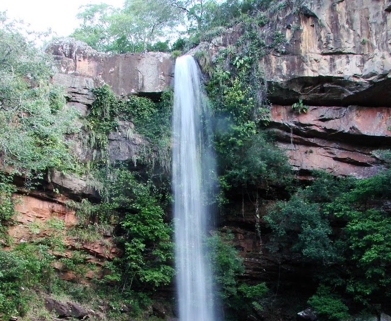 Roboré un Paraiso sin Limites: Robore