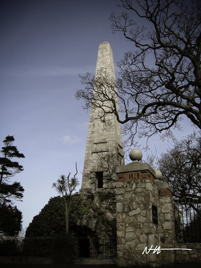 Infinite Ireland: Stillorgan Obelisk