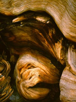 V.Watts Photography: Landscape Photographer - Joe Cornish