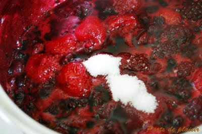 Parts de plaisir: Coulis de fruits rouges au gingembre