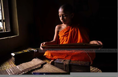 STUDIO TIMES SRI LANKA IMAGE ARCHIVE: IMAGES OF SRI LANKA - OLA LEAF ...