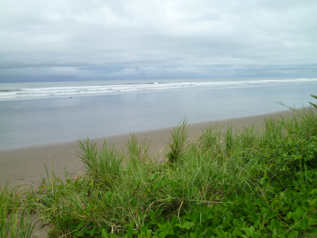 TURISMO CHIRICANO: PLAYA DE LAS LAJAS