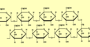 Química 4M: Almidón