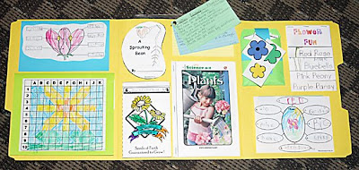 Flowers & Plants ~ Lapbook - 1+1+1=1