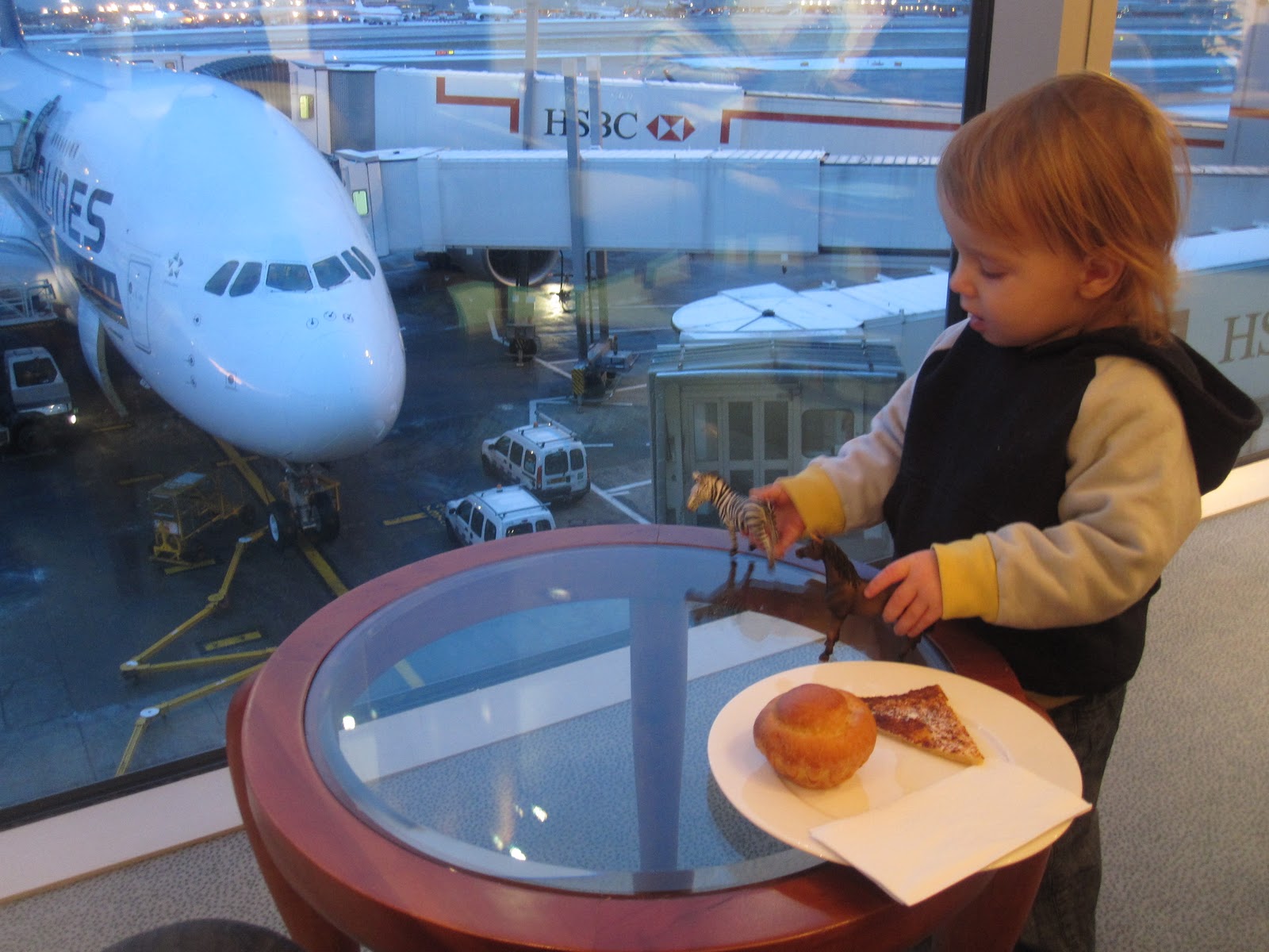 Tino's Ark: My First Intercontinental Flight: EK008