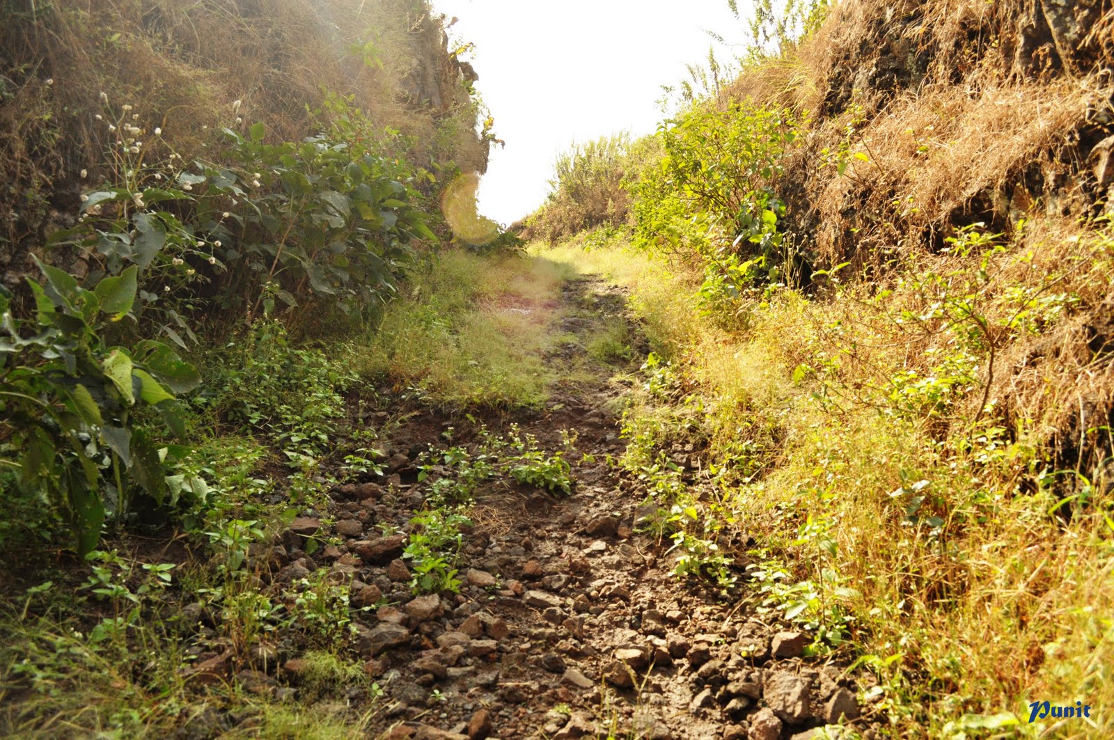 Slope of Hell : Ride to Heaven!