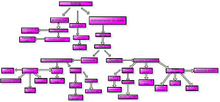 Maria adelaida garcia carmona: Mapa conceptual "sena"