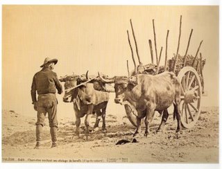 Taller de Escritura: EL CARRETERO