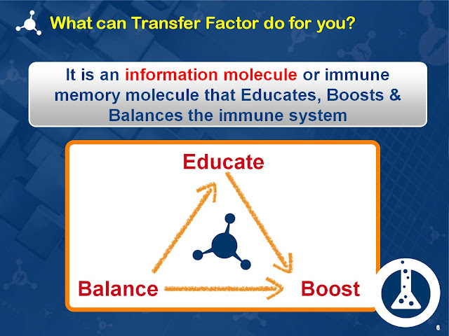 TRANSFER FACTOR 4 LIFE: What is TF