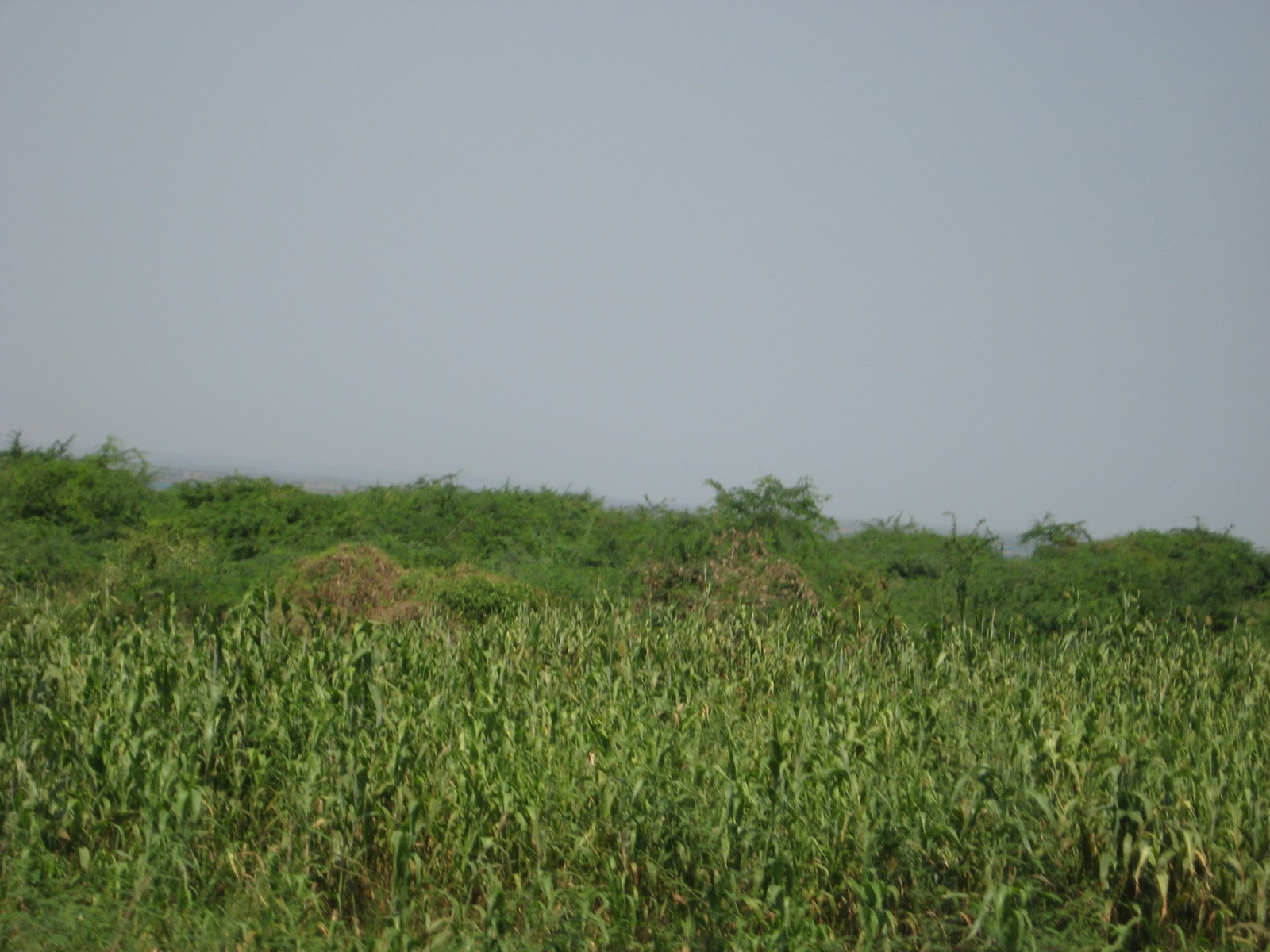 I LOVE INDIA: A visit to Dwarka, Beth Dwarka & Nageshwar Jyotirlinga(m ...