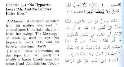 Hadith, History, and Information