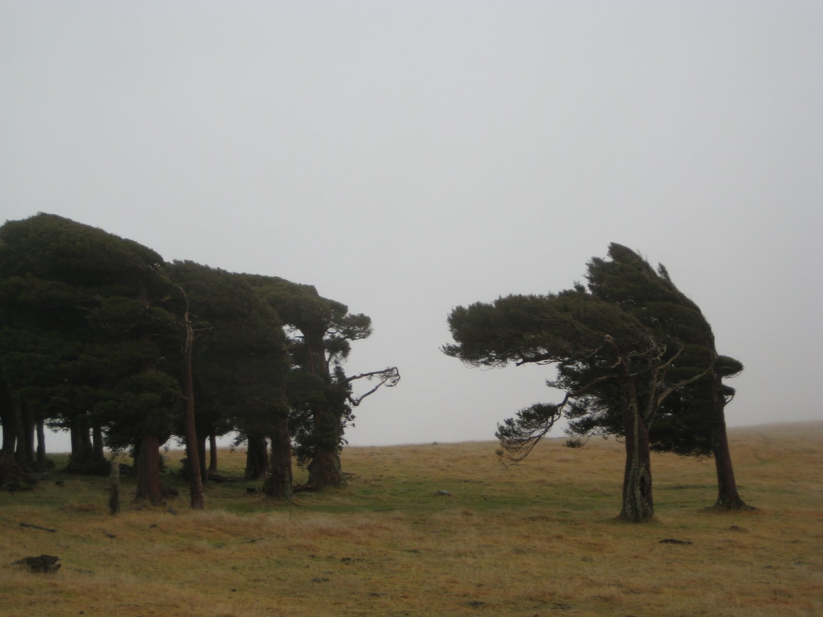 Brad and Catherine in New Zealand: Port Levy