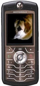 Allen's Adventures : Free Cell Phones for Welfare Recipients