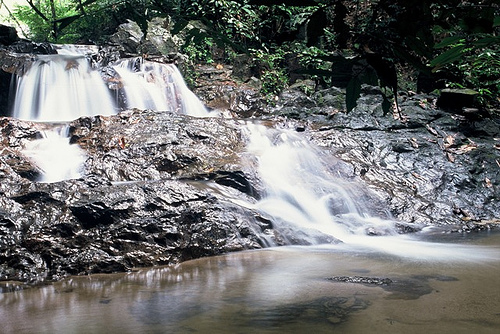 Templer's Park | Malaysia Tour