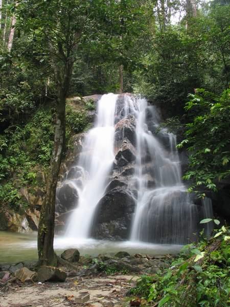 Templer's Park | Malaysia Tour