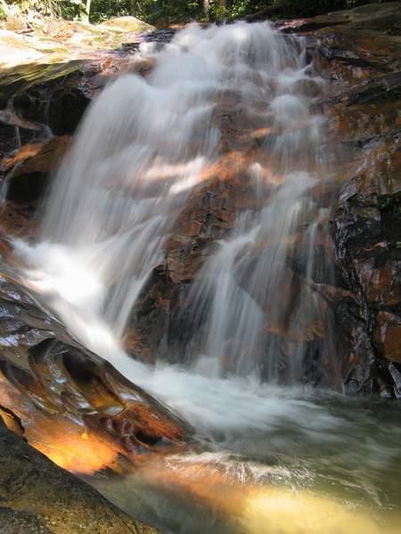 Templer's Park | Malaysia Tour