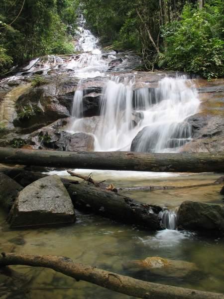 Templer's Park | Malaysia Tour