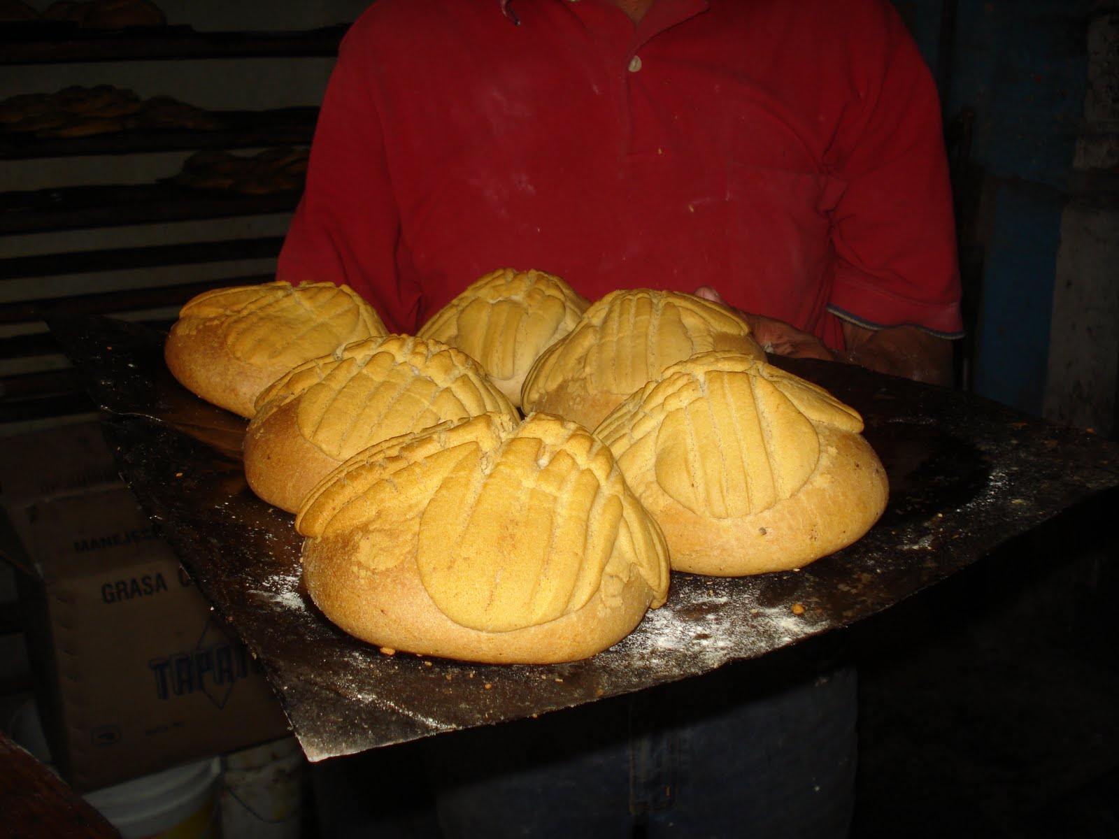 Trabajo final 5D: Picones