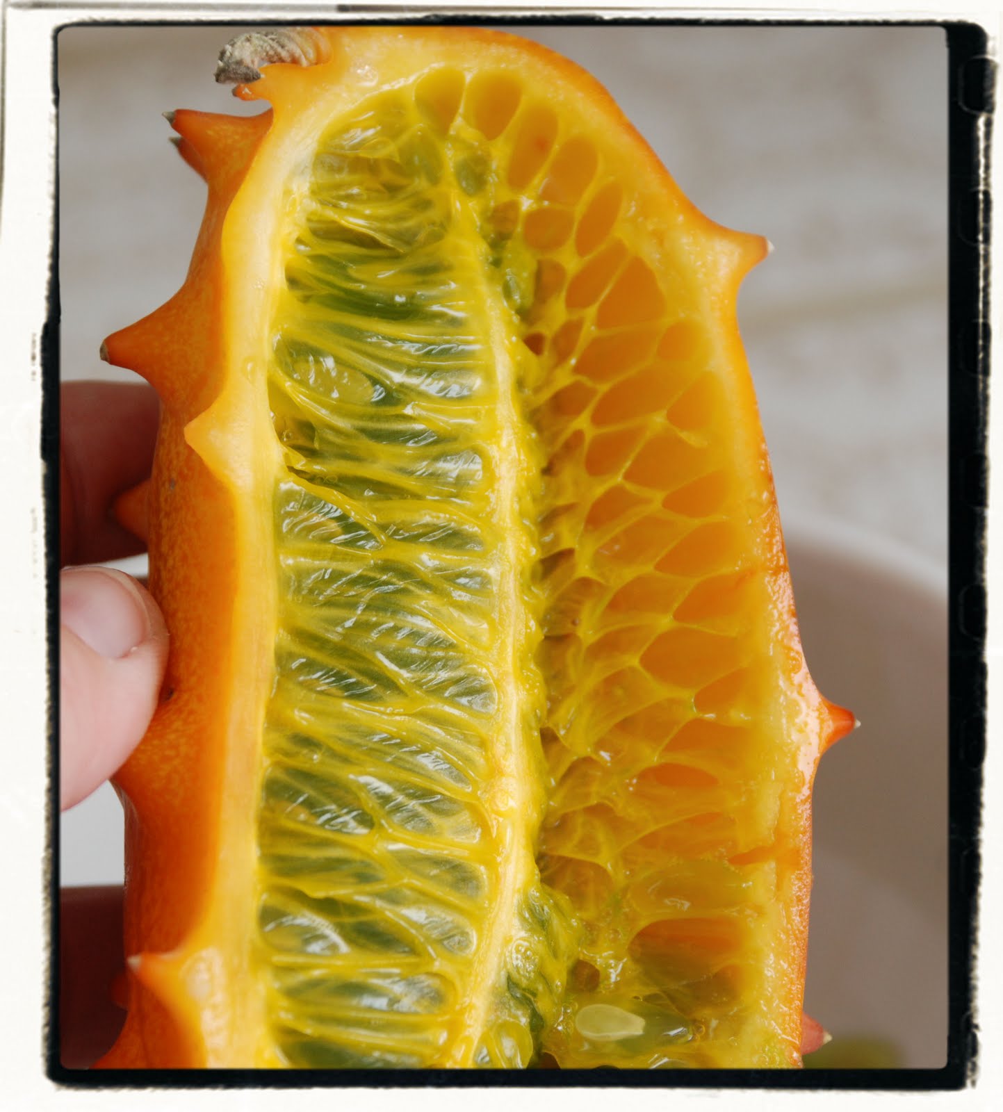 Lori Jean Cooks!: Introducing the Horned Melon...