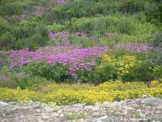 Beautiful South Africa: Larus Houseboat - West Coast National Park