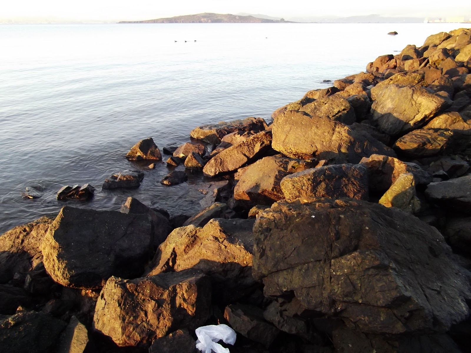 Justice for Scott Peterson: A formidable barrier