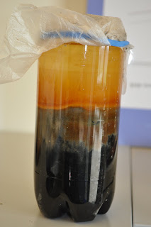 Winogradsky Columns: Day 52 Observations